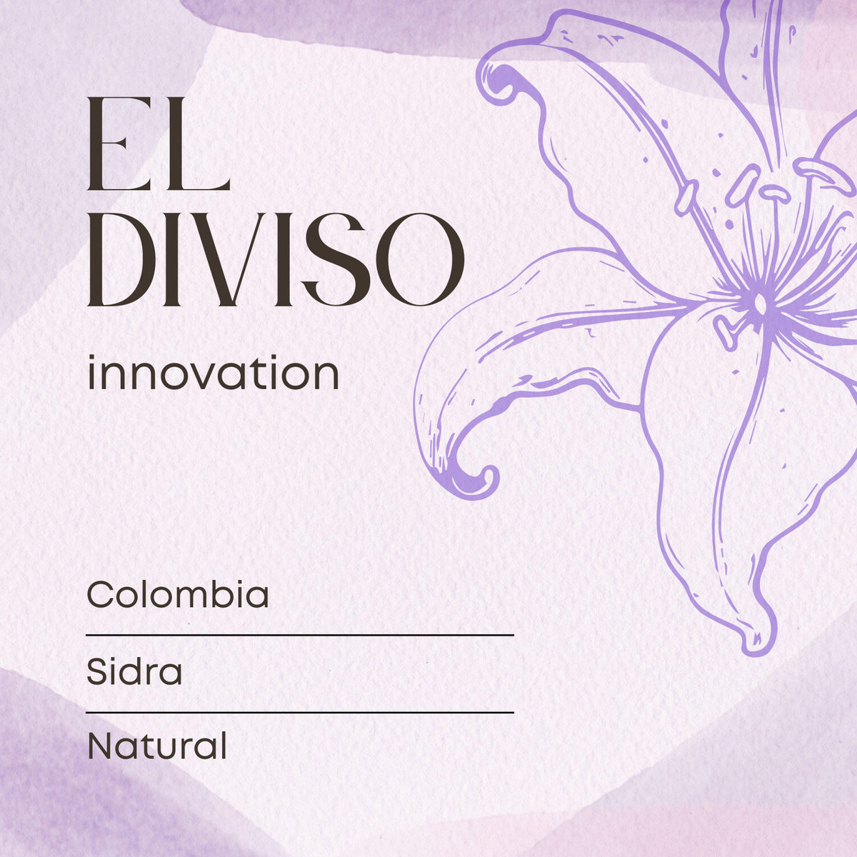 Finca El Diviso Sidra – Prairie Lily Coffee